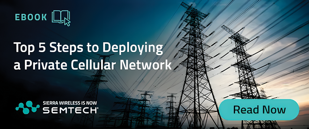 Top five steps to deploying a private cellular network - 30 August 2024 ...